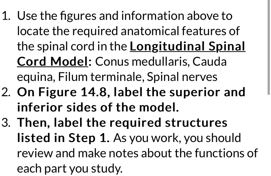 1. Use the figures and information above to locate the required ...