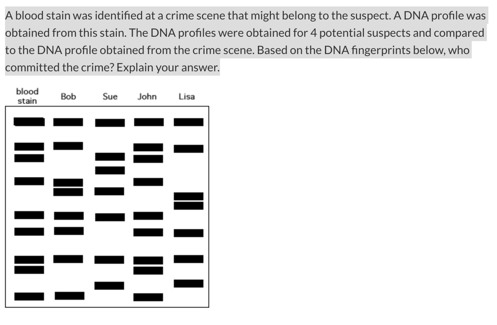 SOLVED: A blood stain was identified at a crime scene that might belong ...