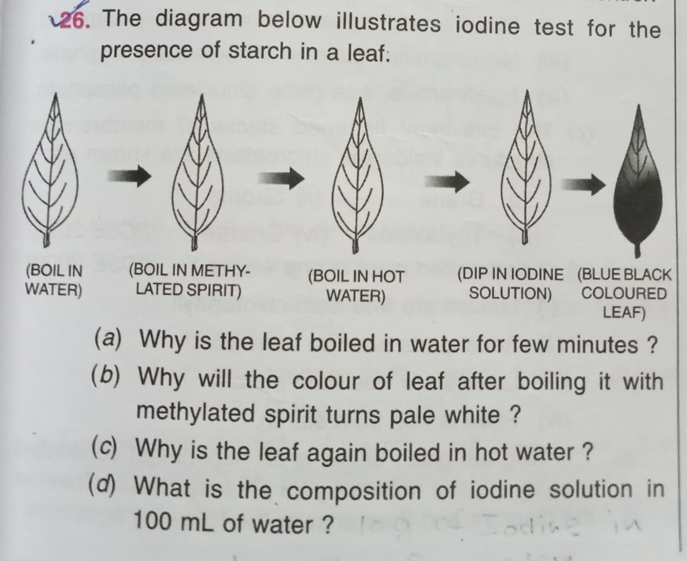 26. The diagram below illustrates iodine test for the presence of ...