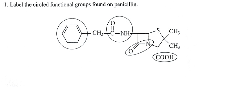 SOLVED: 1. Label the circled functional groups found on penicillin CH2 ...
