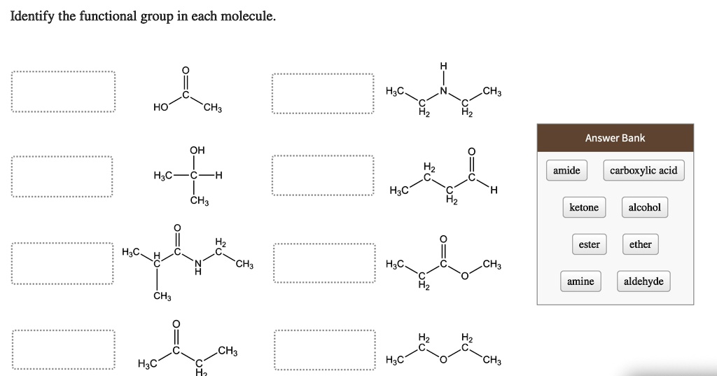 SOLVED: Identify the functional group in each molecule. H3C CH3 HO Answer Bank OH HzC- CH amide ...