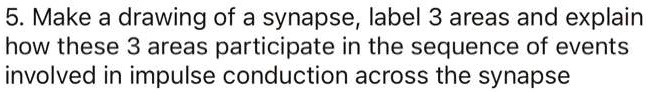 SOLVED: Make a drawing of a synapse, label 3 areas, and explain how ...