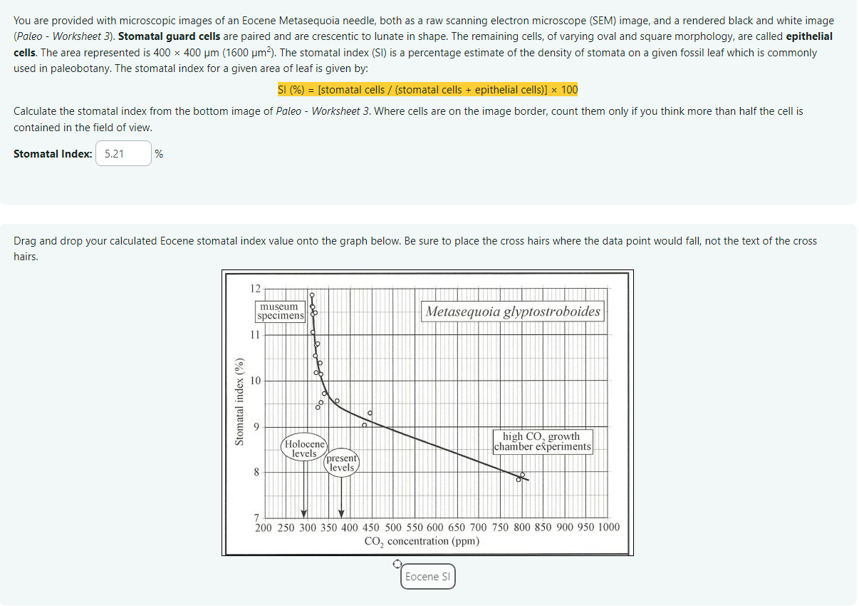 SOLVED: You are provided with microscopic images of an Eocene ...