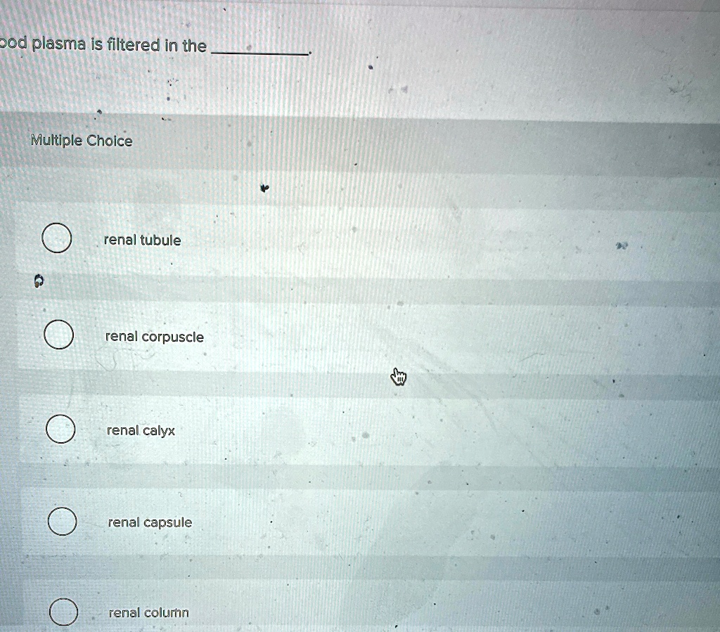dod plasma is filtered in the multiple choice renal tubule renal ...