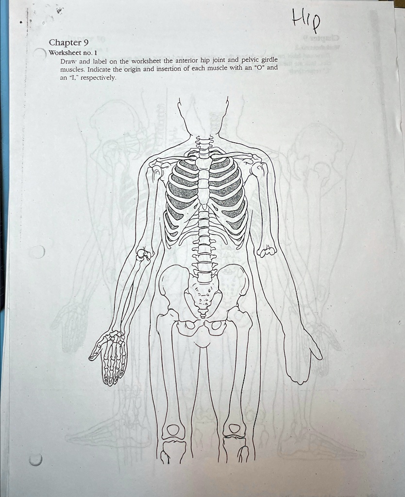 Hip Chapter 9 Worksheet no. 1 Drat and label on the worksheet the ...
