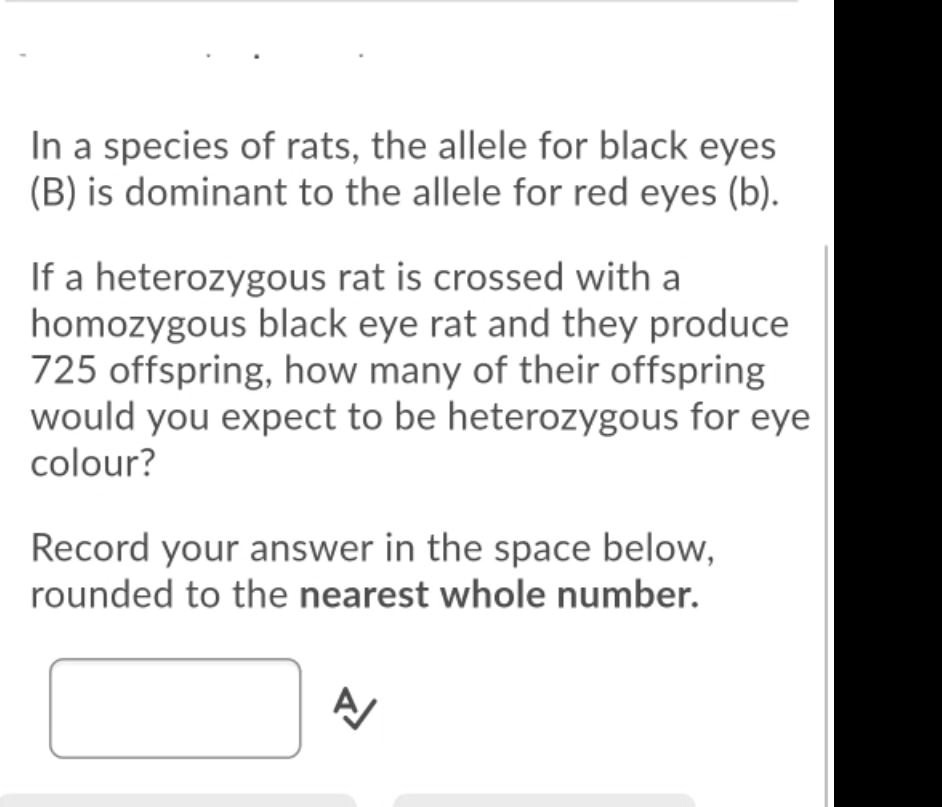 SOLVED: In a species of rats, the allele for black eyes (B) is dominant ...