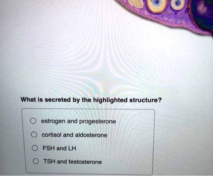 SOLVED: What is secreted by the highlighted structure? Estrogen and ...
