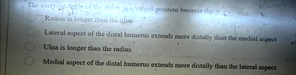 The carrying Angle of the elbow is a, valgus position because the ...
