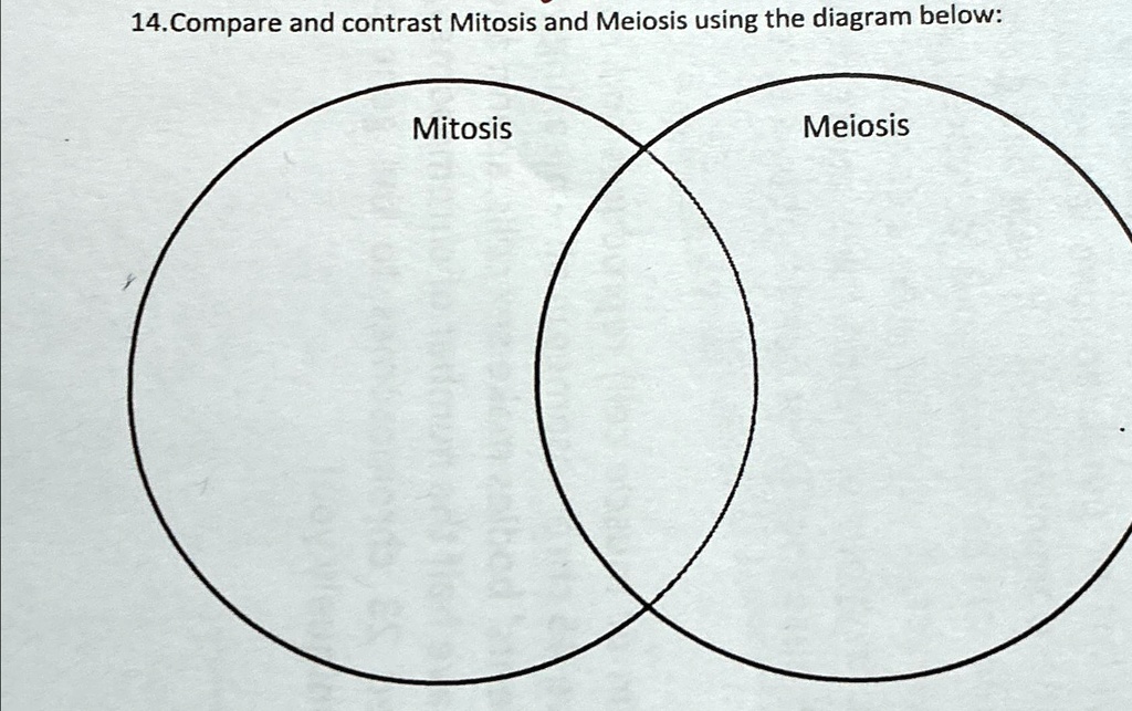 Compare and contrast Mitosis and Meiosis using the diagram below: 14 ...