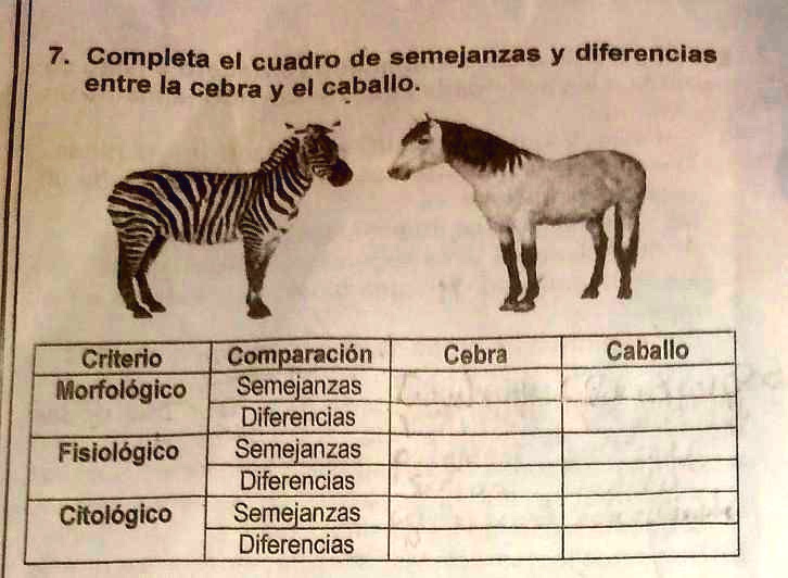 ayuda espara hoy es urgente Completa el cuadro de semejanzas y ...