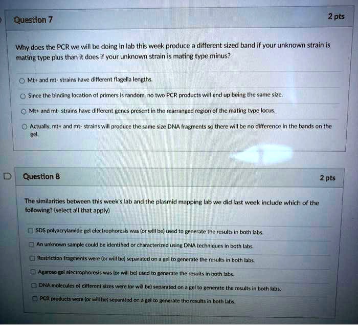 SOLVED: Why does the PCR we will be doing in lab this week produce ...