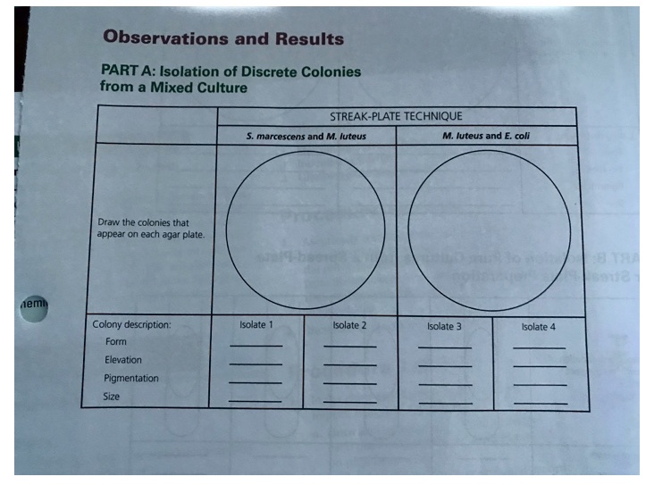 Observations and Results PART A: Isolation of Discrete Colonies from ...