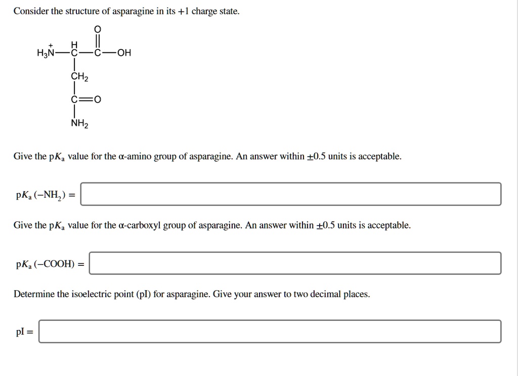 Consider the structure of asparagine in its charge state hzn...