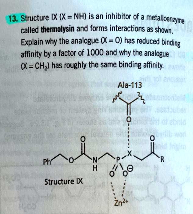 13 structure ix x nh is an inhibitor of a metalloenzyme called ...