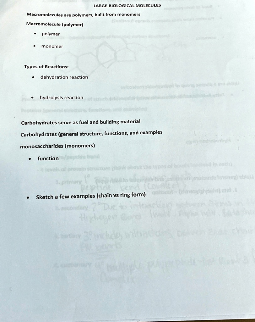 LARGE BIOLOGICAL MOLECULES Macromolecules are polymers, built from ...