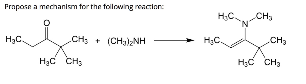 Propose a mechanism for the following reaction: H3CC=O)C(C)(C)CH3 + (CH3)2NH → H3CC=N(CH3)C(C)(C)CH3