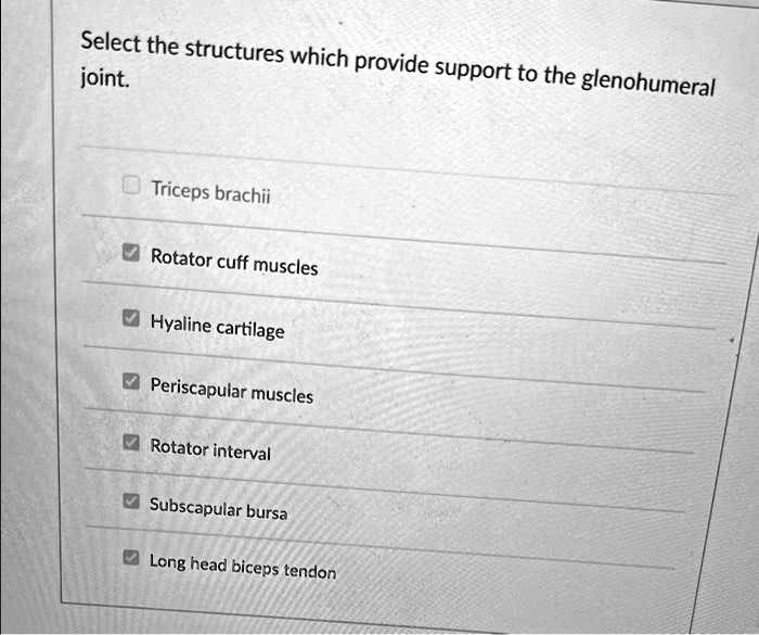 Select the structures which provide support to the glenohumeral joint ...