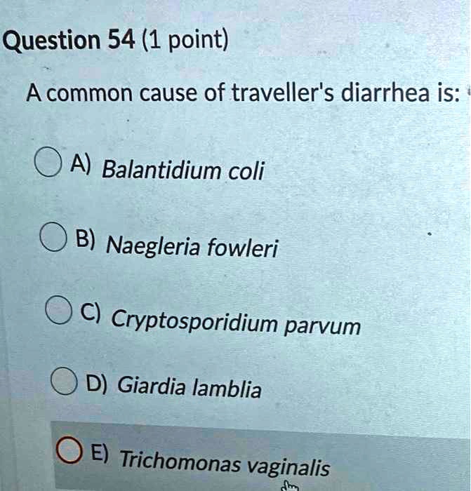 SOLVED: A common cause of traveler's diarrhea is: A) Balantidium coli B ...