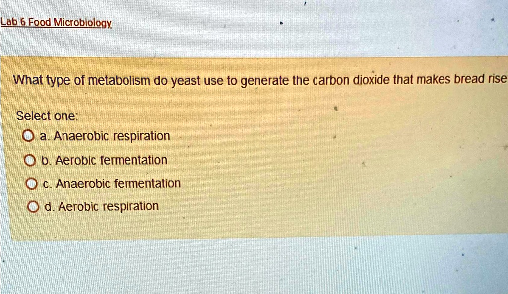SOLVED: Lab 6: Food Microbiology What type of metabolism do yeast use ...