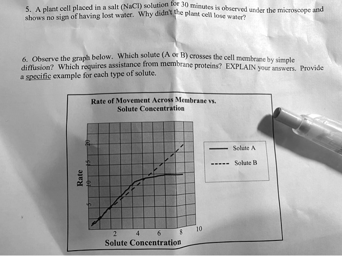 a plant cell placed in salt naci solution for 30 minutes is observed ...