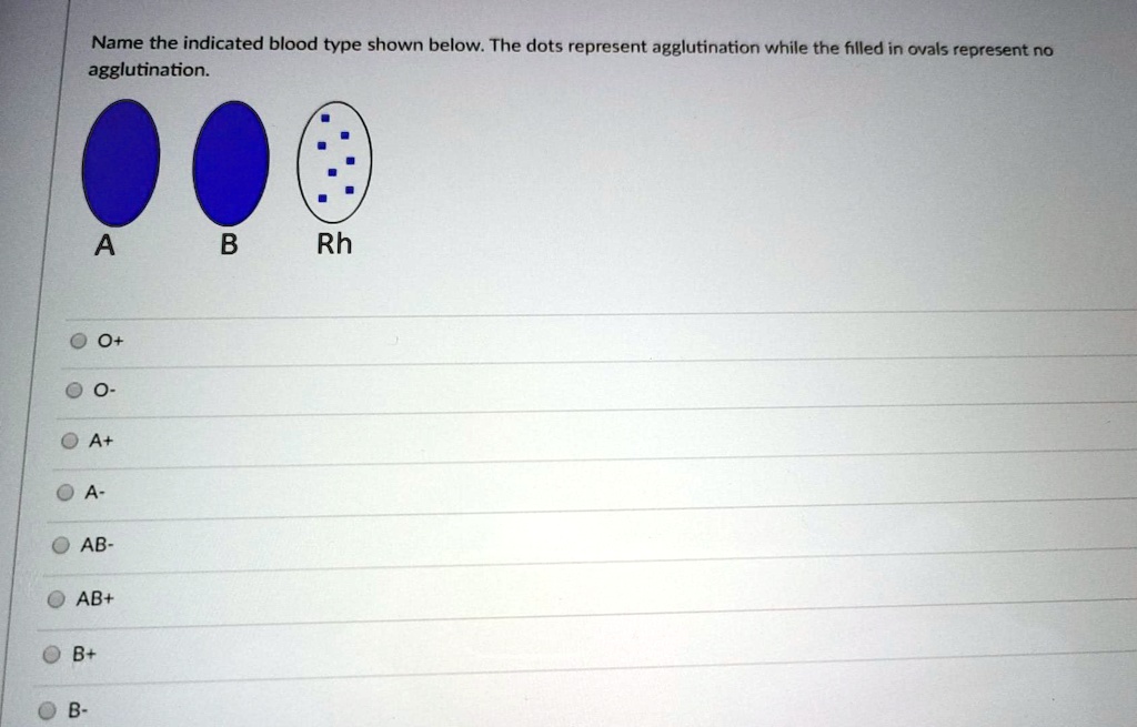 SOLVED: Name the indicated blood type shown below. The dots represent ...