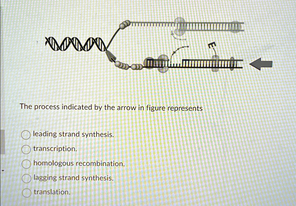 SOLVED: The process indicated by the arrow in figure represents leading ...