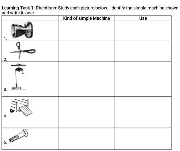 SOLVED: 'Learning Task 1: Directions: Study each picture below ... SOLVED: 'Learning Task 1: Directions: Study each picture below ...