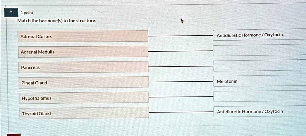 SOLVED: 2 1 point Match the hormone(s) to the structure. Adrenal Cortex ...