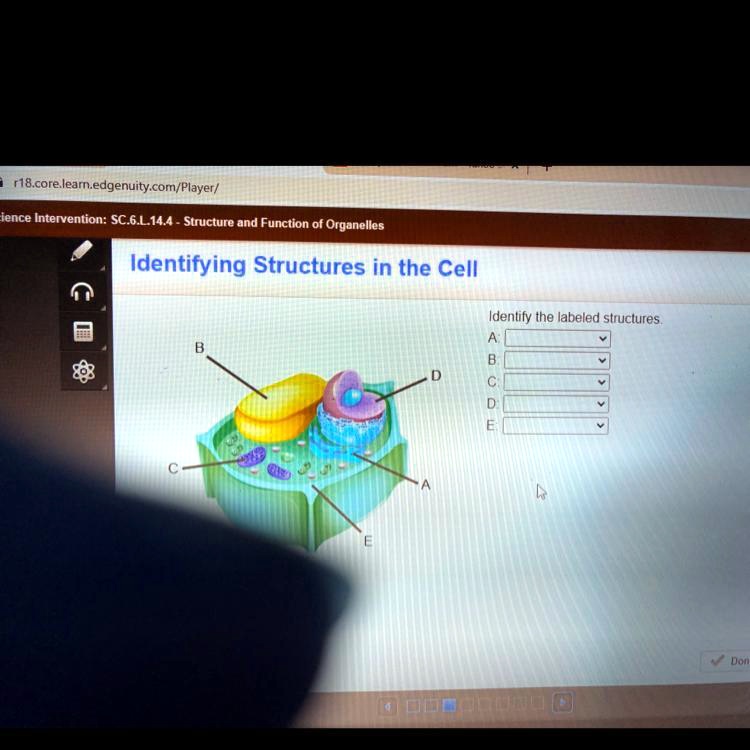 [GET ANSWER] r18.core.learn.edgenuity.com/Player/ cience Intervention: SC.6.L.14.4 - Structure ...