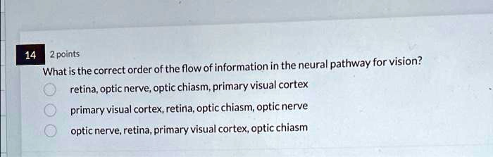 14 2 points What is the correct order of the flow of...