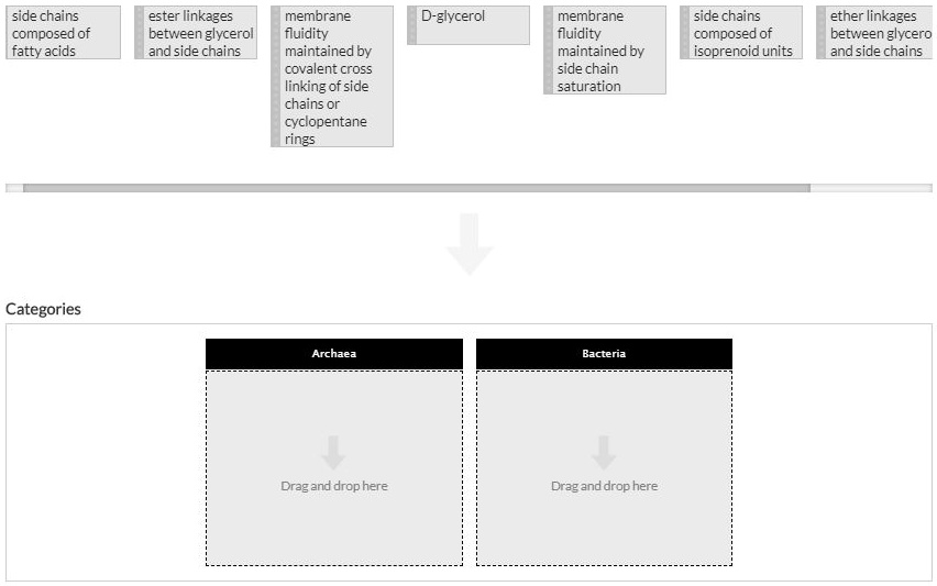 SOLVED: side chains composed of fatty acids ester linkages between ...