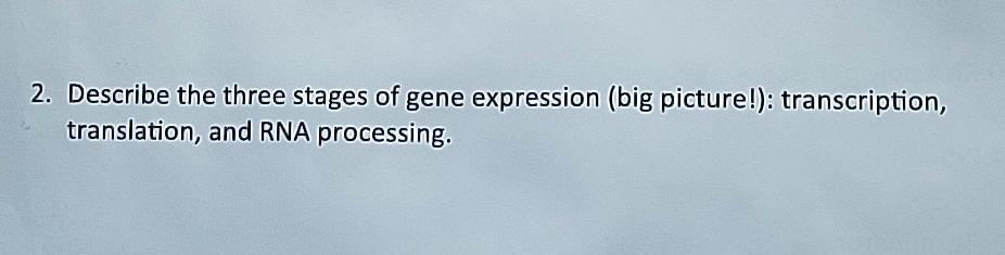 Describe the three stages of gene expression (big picture ...