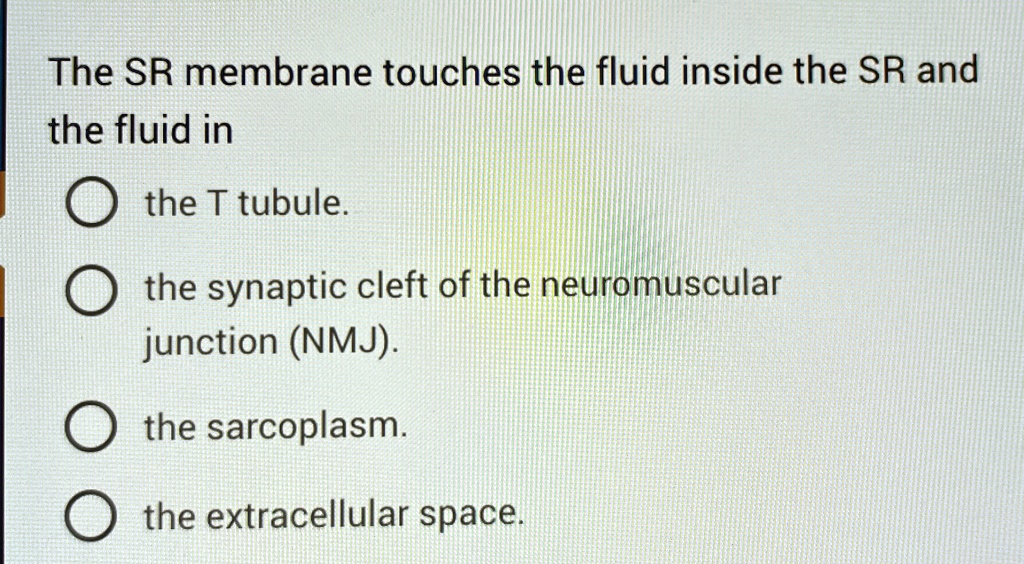 the sr membrane touches the fluid inside the sr and the fluid in the t ...