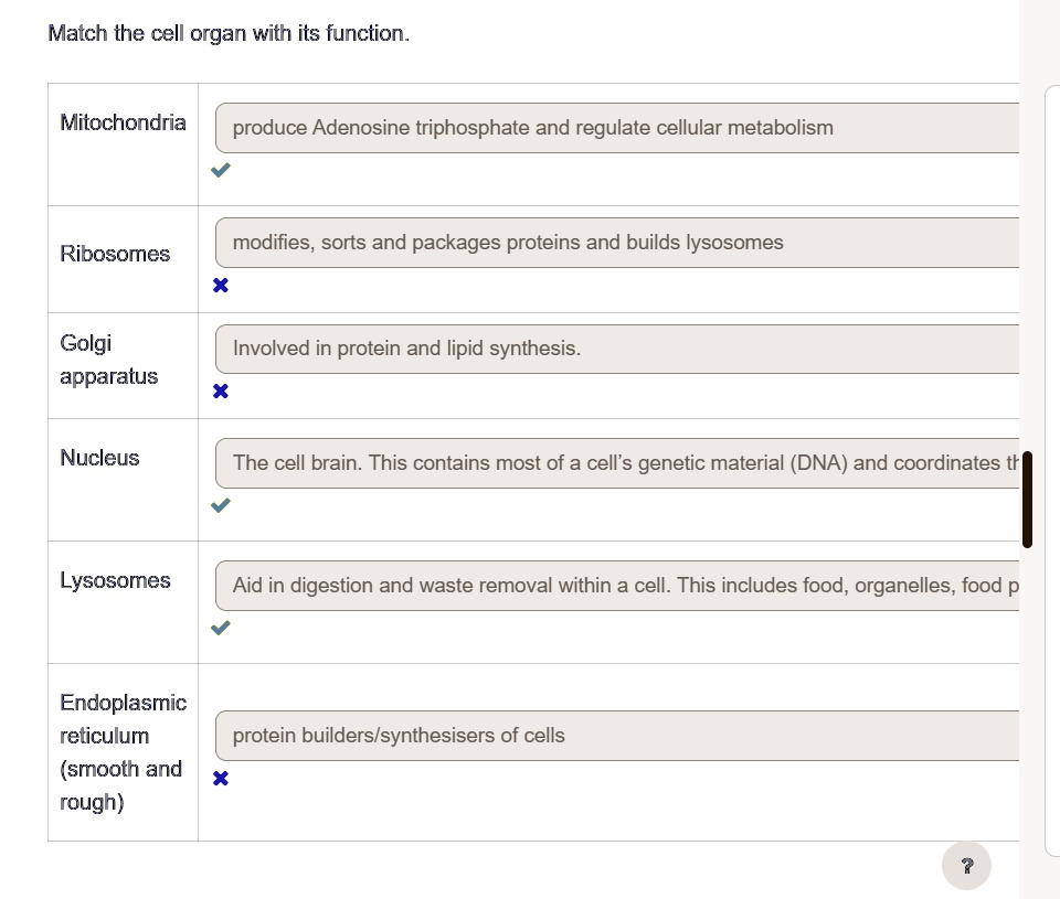 texts match the cell organ with its function mitochondria produce ...