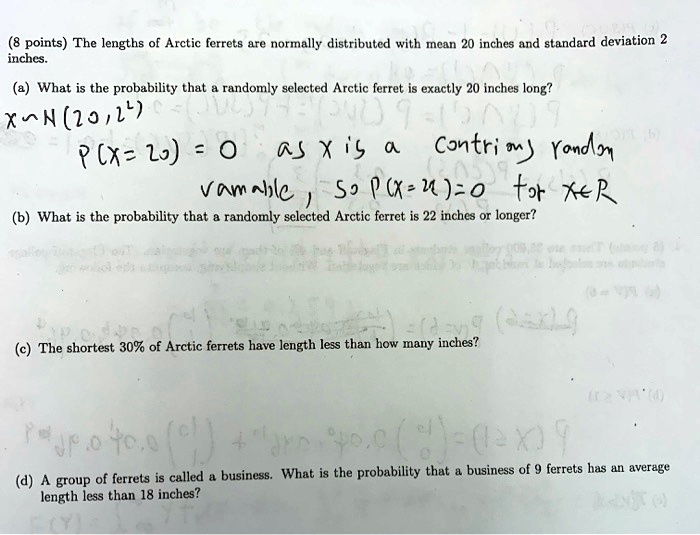 SOLVED:(8 points) The lengths of Arctic ferrets are normally ...