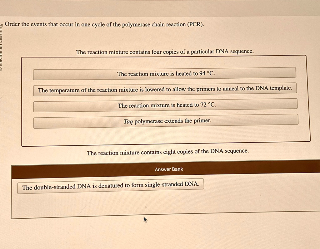 Order the events that occur in one cycle of the polymerase chain ...