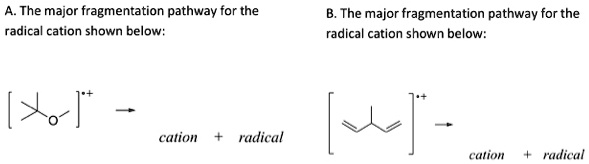 SOLVED: A. The major fragmentation pathway for the radical cation shown ...