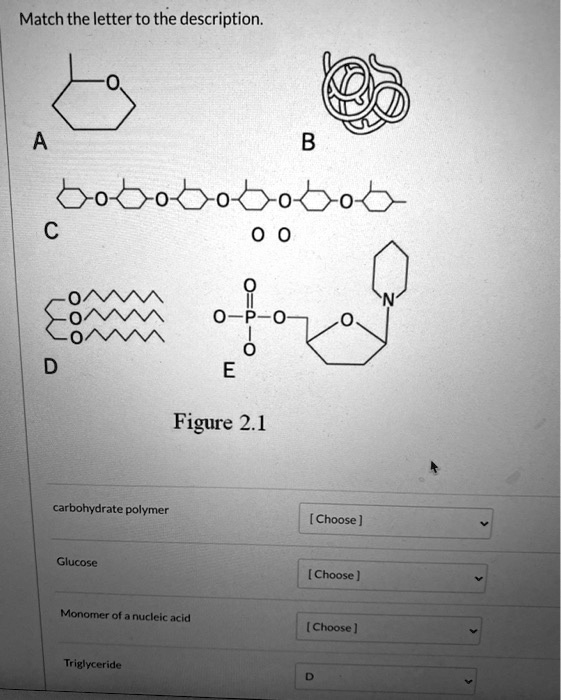 SOLVED: Match the letter to the description. Figure 2.1 carbohydrate ...