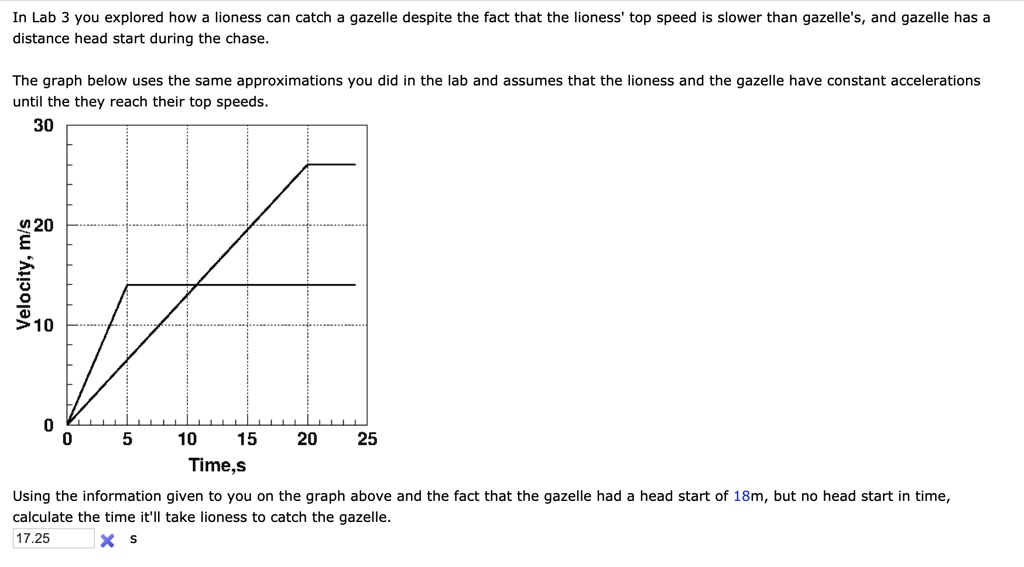 In Lab 3 you explored how a lioness can catch a gazelle despite the ...