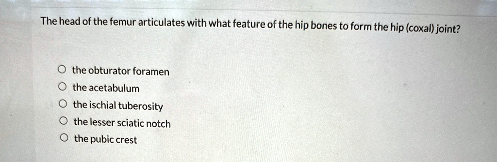 The head of the femur articulates with what feature of the hip bones to ...