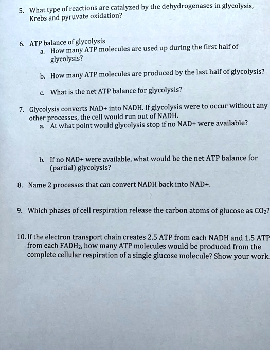 SOLVED:What type of reactions are catalyzed by the dehydrogenases in ...