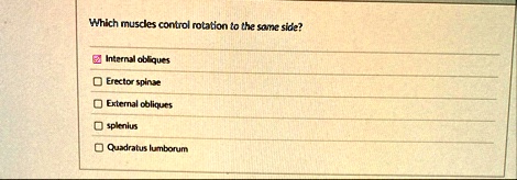 which muscles control rotation to the same side internal obliques ...
