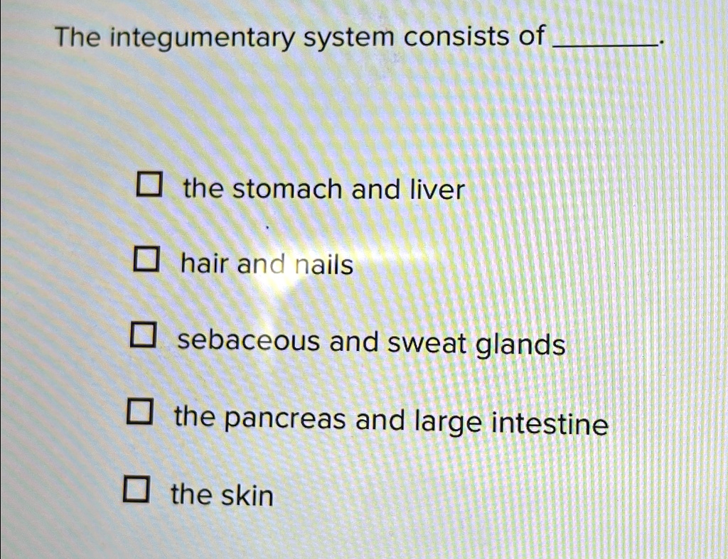 the integumentary system consists of the stomach and liver hair and ...