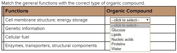 Match the general functions with the correct type of organic compound ...
