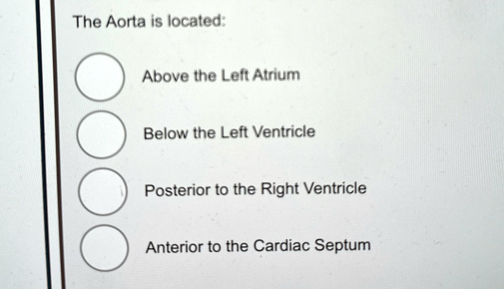 the aorta is located above the left atrium below the left ventricle ...