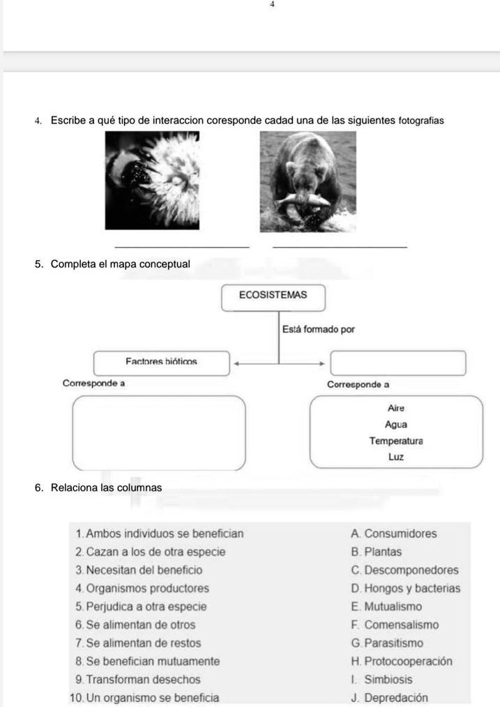 SOLVED: doy corona ayudemneeeee Escribe a qué tipo de interaccion ...