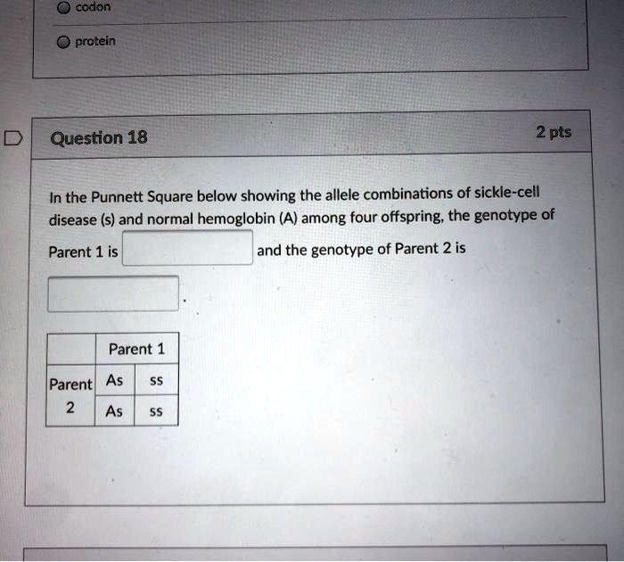 SOLVED:codon protein Question 18 2 pts In the Punnett Square below ...