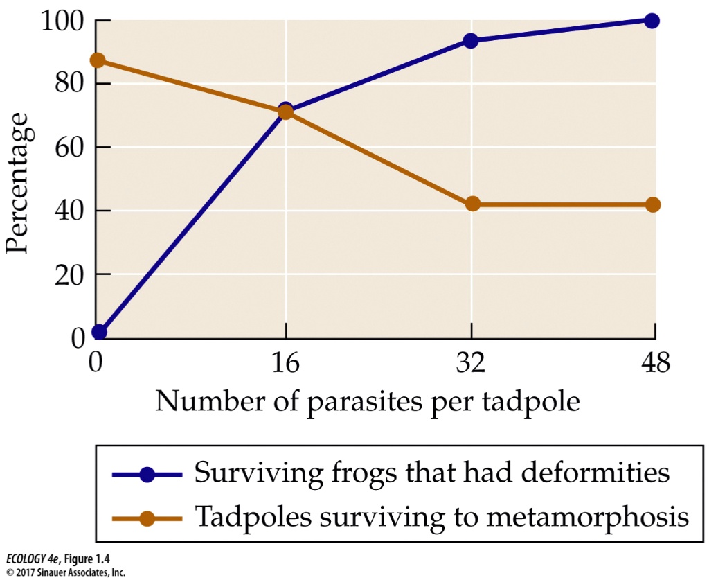 Percentage 100 80 60 40 20 0 0 16 32 Number of parasites per tadpole 48 ...