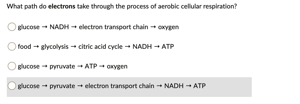 what path do electrons take through the process of aerobic cellular ...