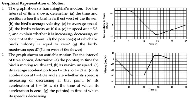 Graphical Representation of Motion The graph shows hu… - SolvedLib